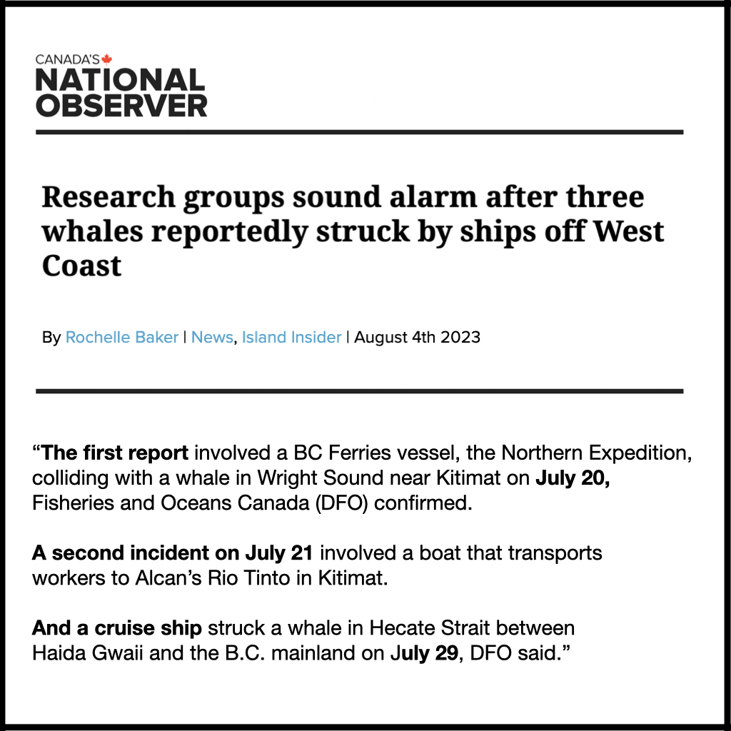 Four Large Vessel Collisions With Whales - BC coast | MERS Marine ...