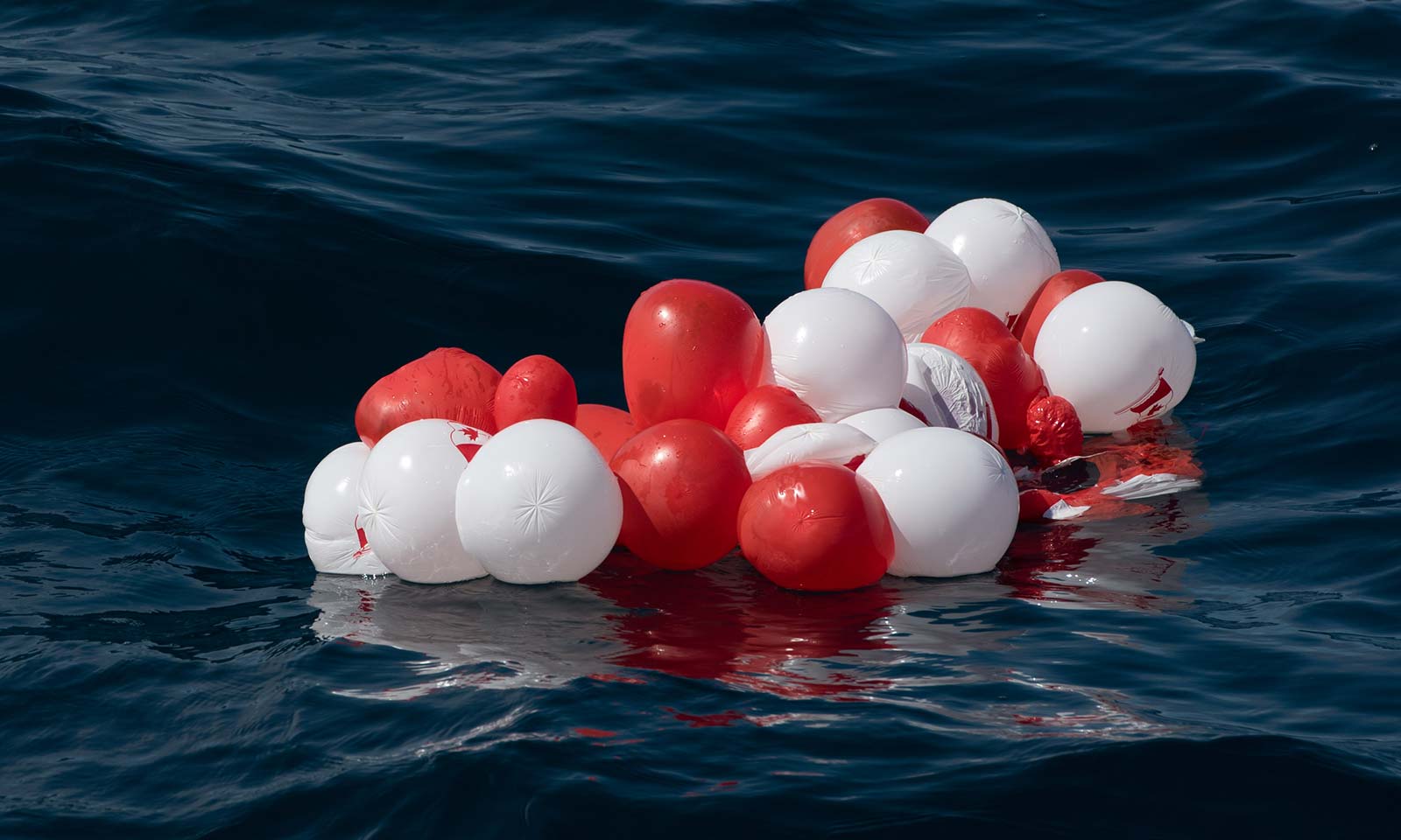 Plastic Pollution | MERS Marine Education & Research Society